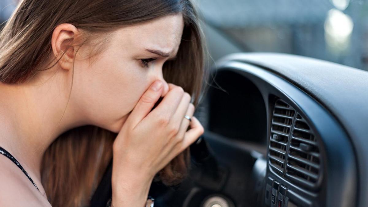 Olor a podrido dentro del coche 】 - El mundo del motor